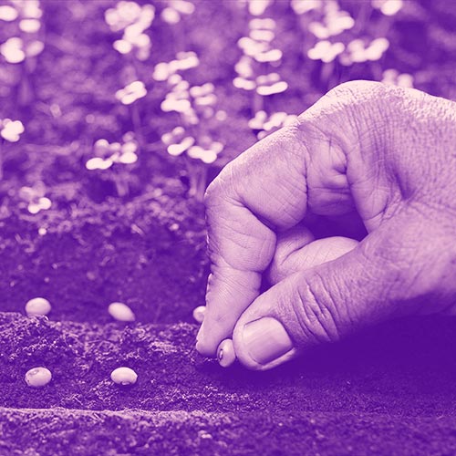 How Brands Can Deliver Clear Sustainability Communications